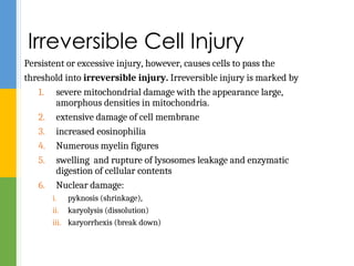 2- CELL INJURY L1 Medical.ppt. ... | PPT