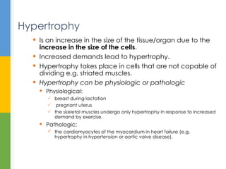 2- CELL INJURY L1 Medical.ppt. ... | PPT