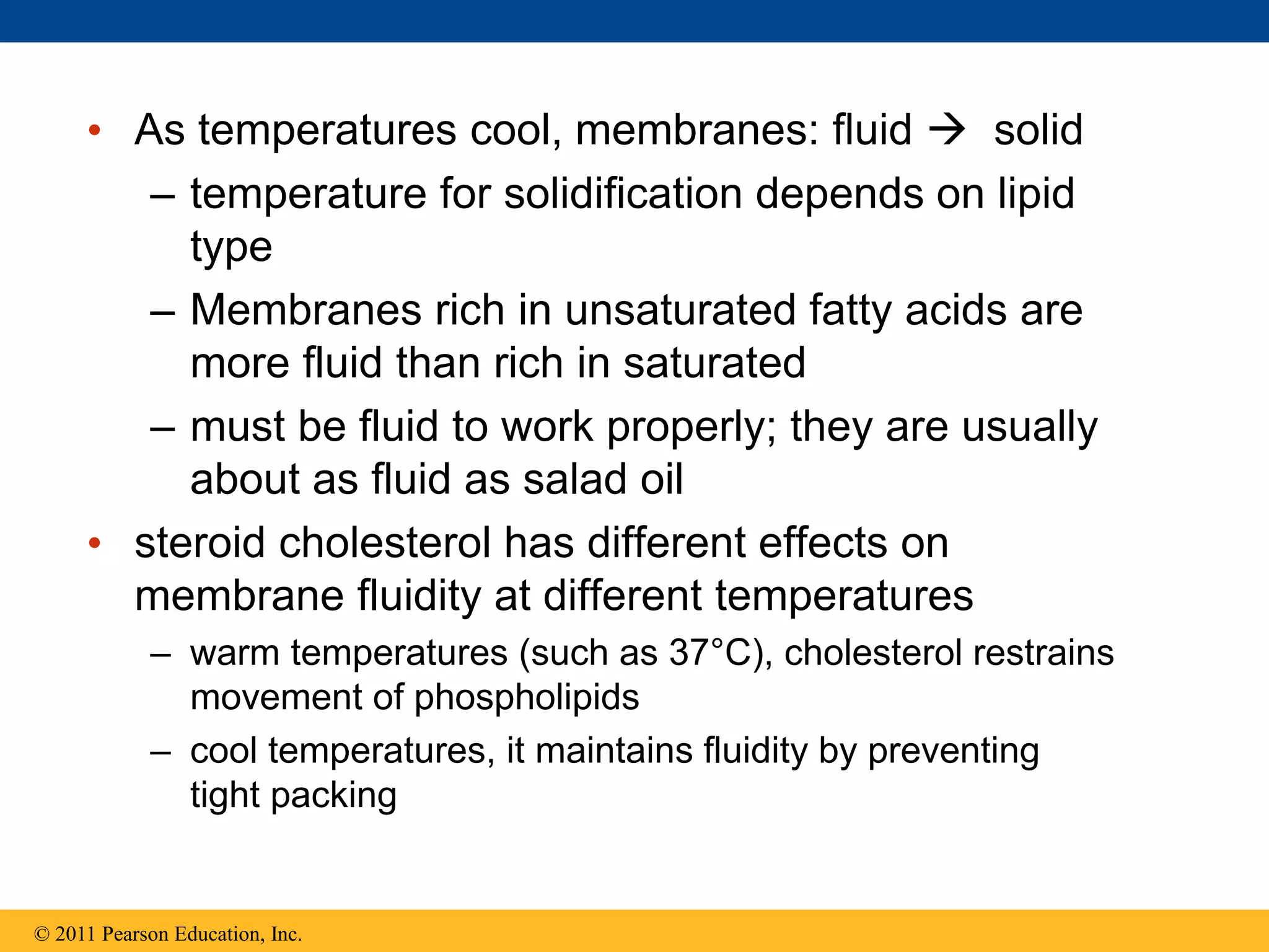 2-Cell Membranes.ppt
