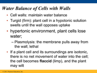2-Cell Membranes.ppt