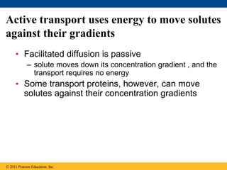 2-Cell Membranes.ppt