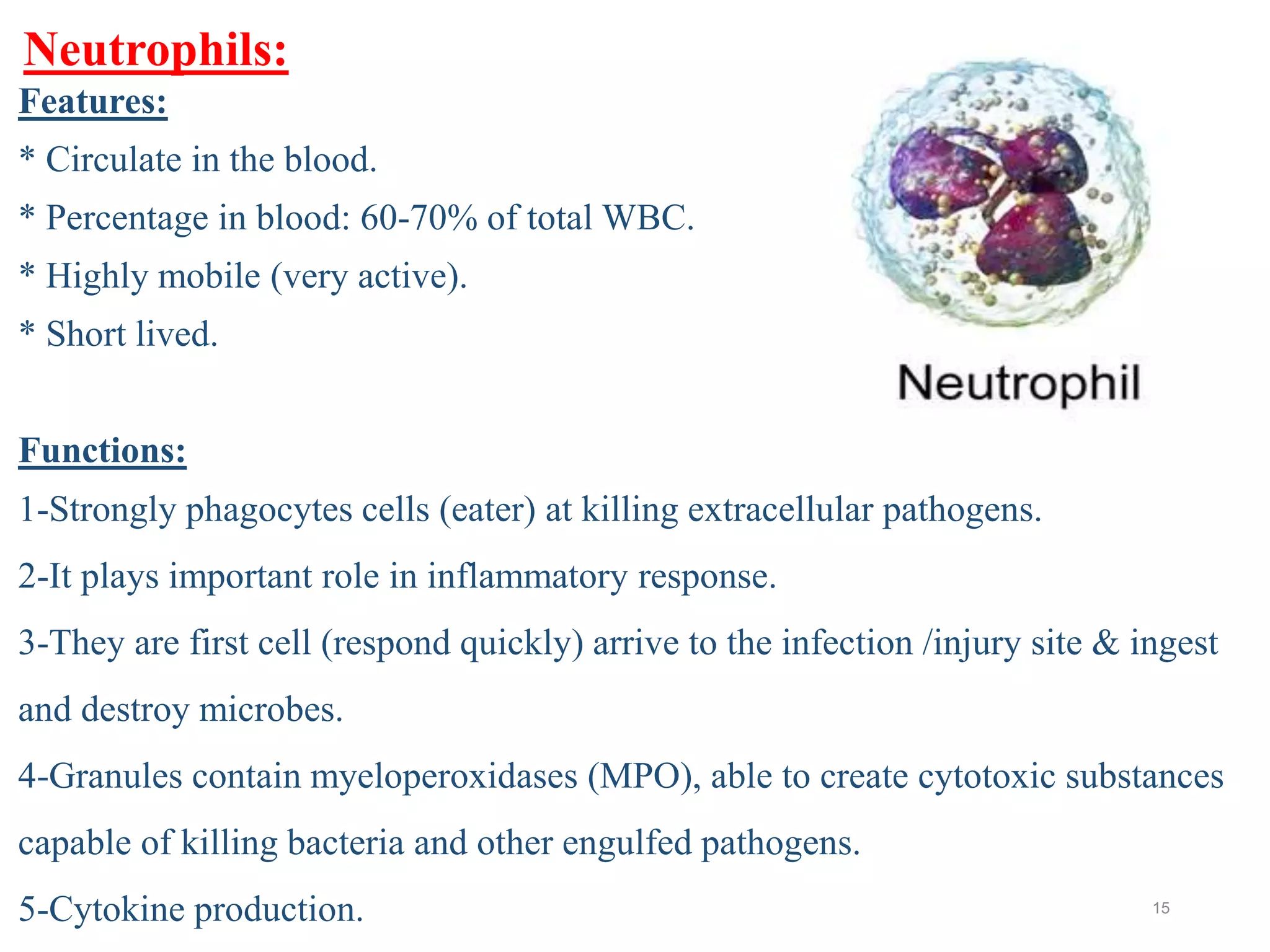 Cells of the Immune System | PPT