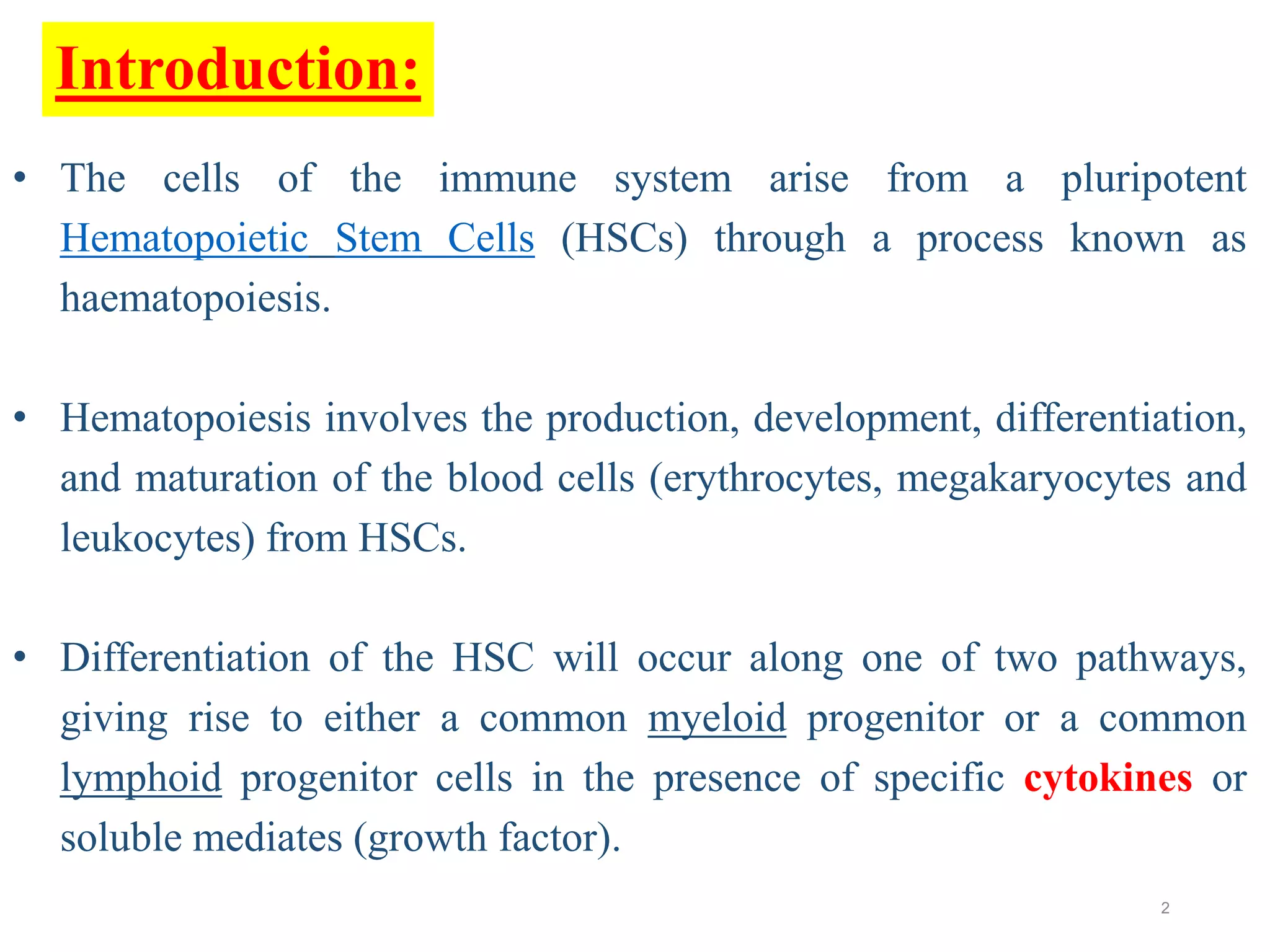 Cells of the Immune System | PPT