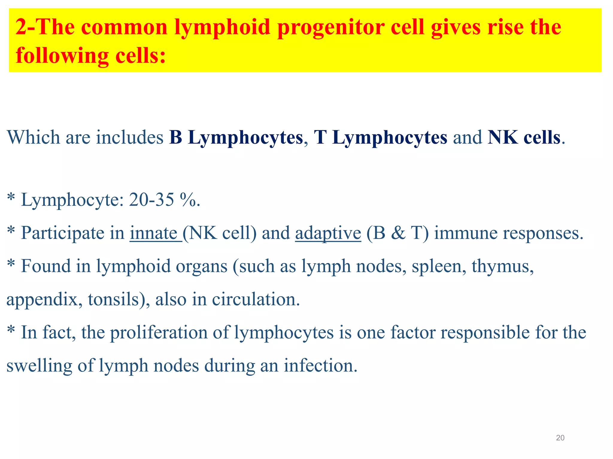 Cells of the Immune System | PPT