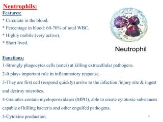 Cells of the Immune System | PPT