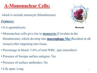 Cells of the Immune System | PPT