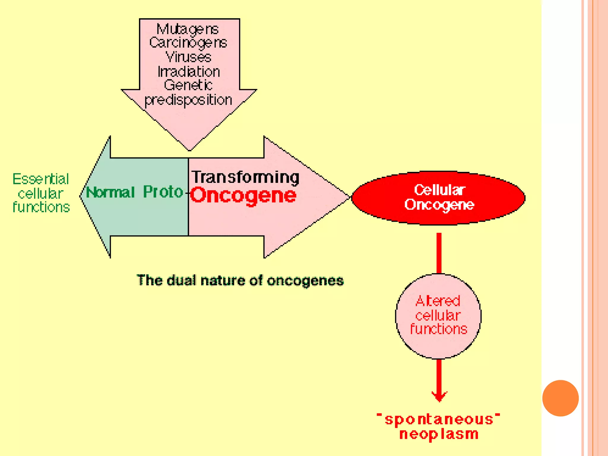 2. Cellular Aberration | PPTX