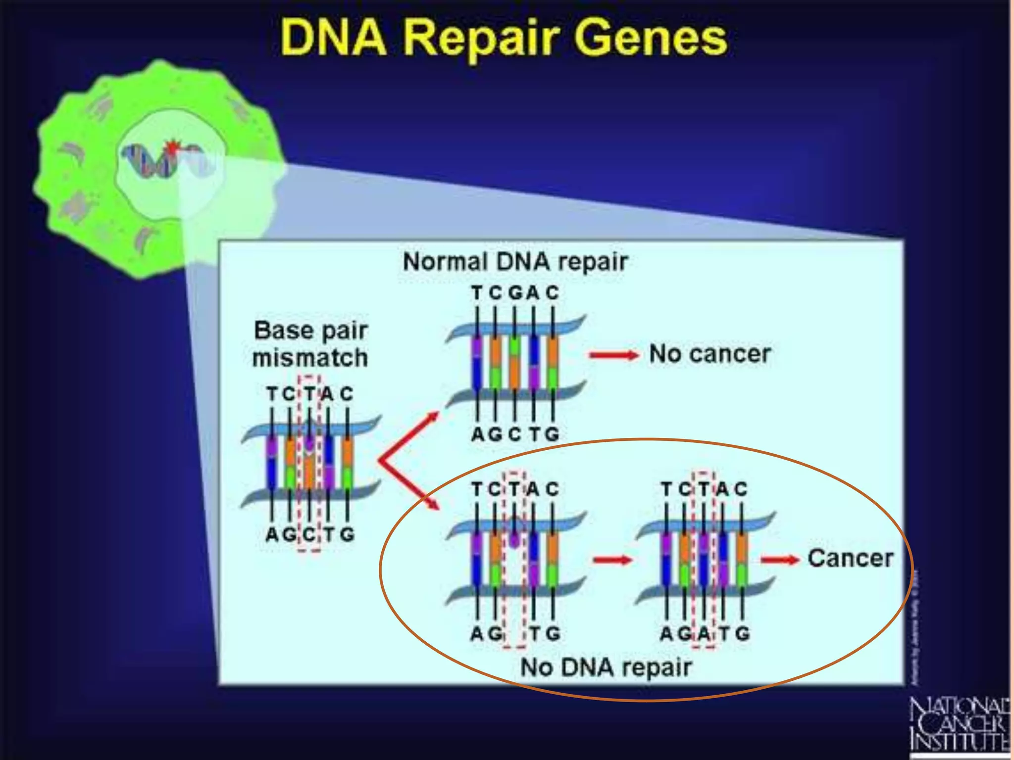 2. Cellular Aberration | PPTX