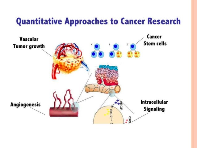 2. Cellular Aberration | PPTX | Cancer | Diseases and Conditions