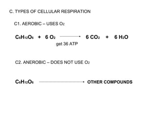 2. cellular respiration | PPT