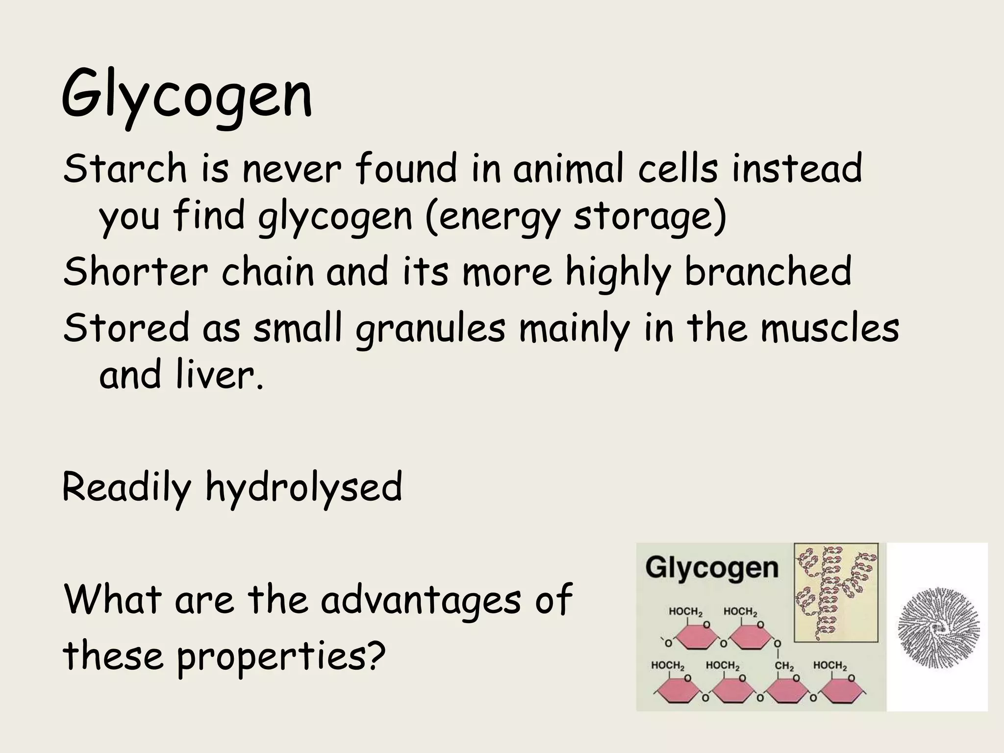 2--Cellulose---Starch.ppt
