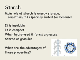 2--Cellulose---Starch.ppt