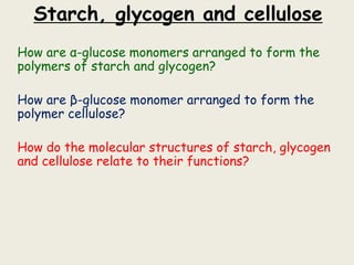 2--Cellulose---Starch.ppt