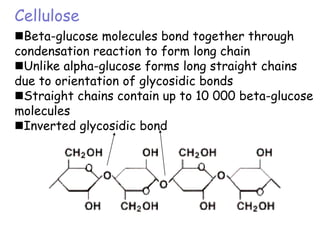 2--Cellulose---Starch.ppt