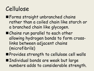 2--Cellulose---Starch.ppt