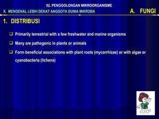 2.C Fungi | PPT