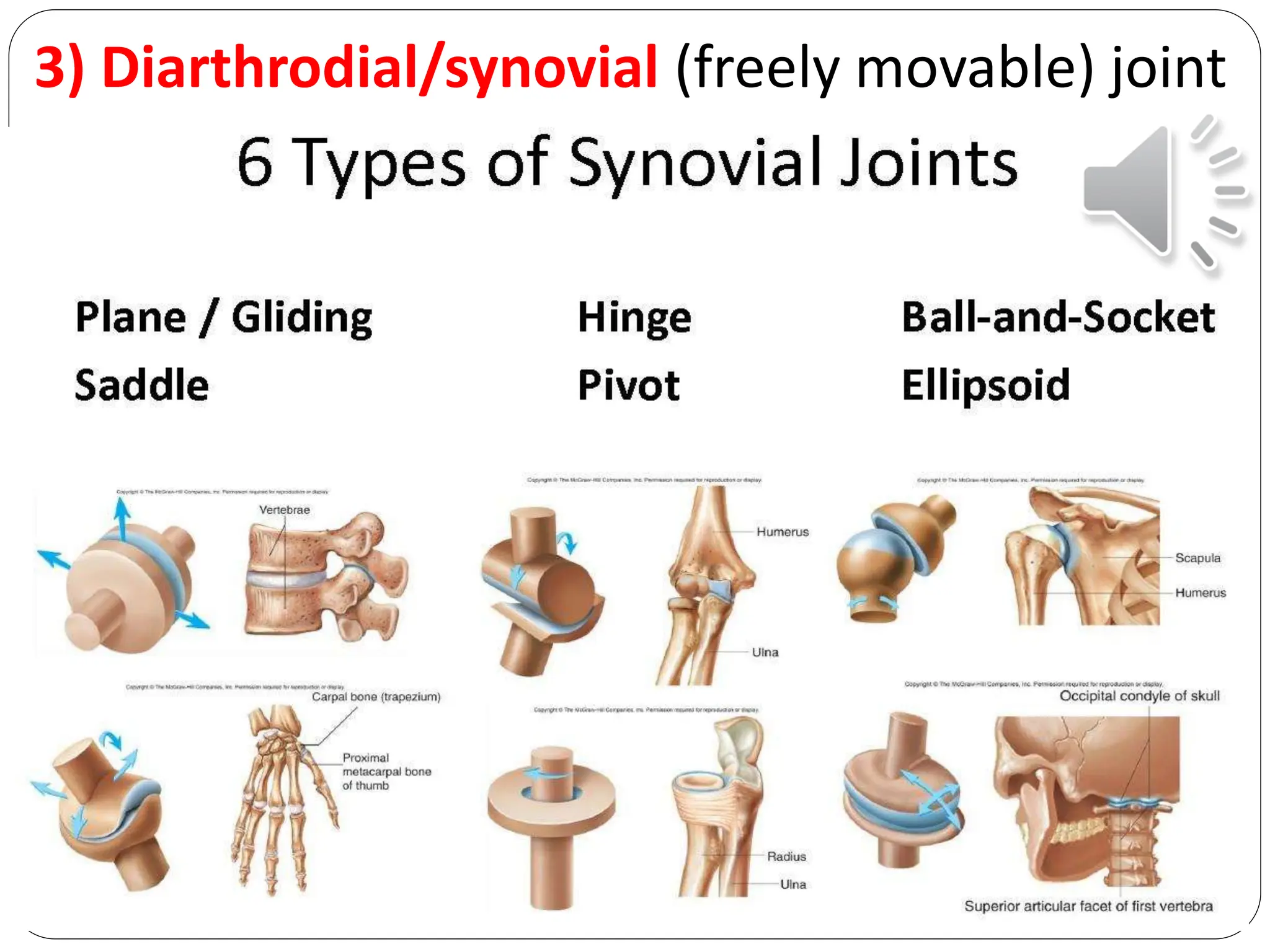 2-chap-1-bones-joints-typesmuscless.pptx