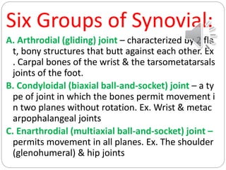 2-chap-1-bones-joints-typesmuscless.pptx | Death, Injury, or Military ...