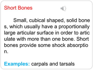 2-chap-1-bones-joints-typesmuscless.pptx | Death, Injury, or Military ...