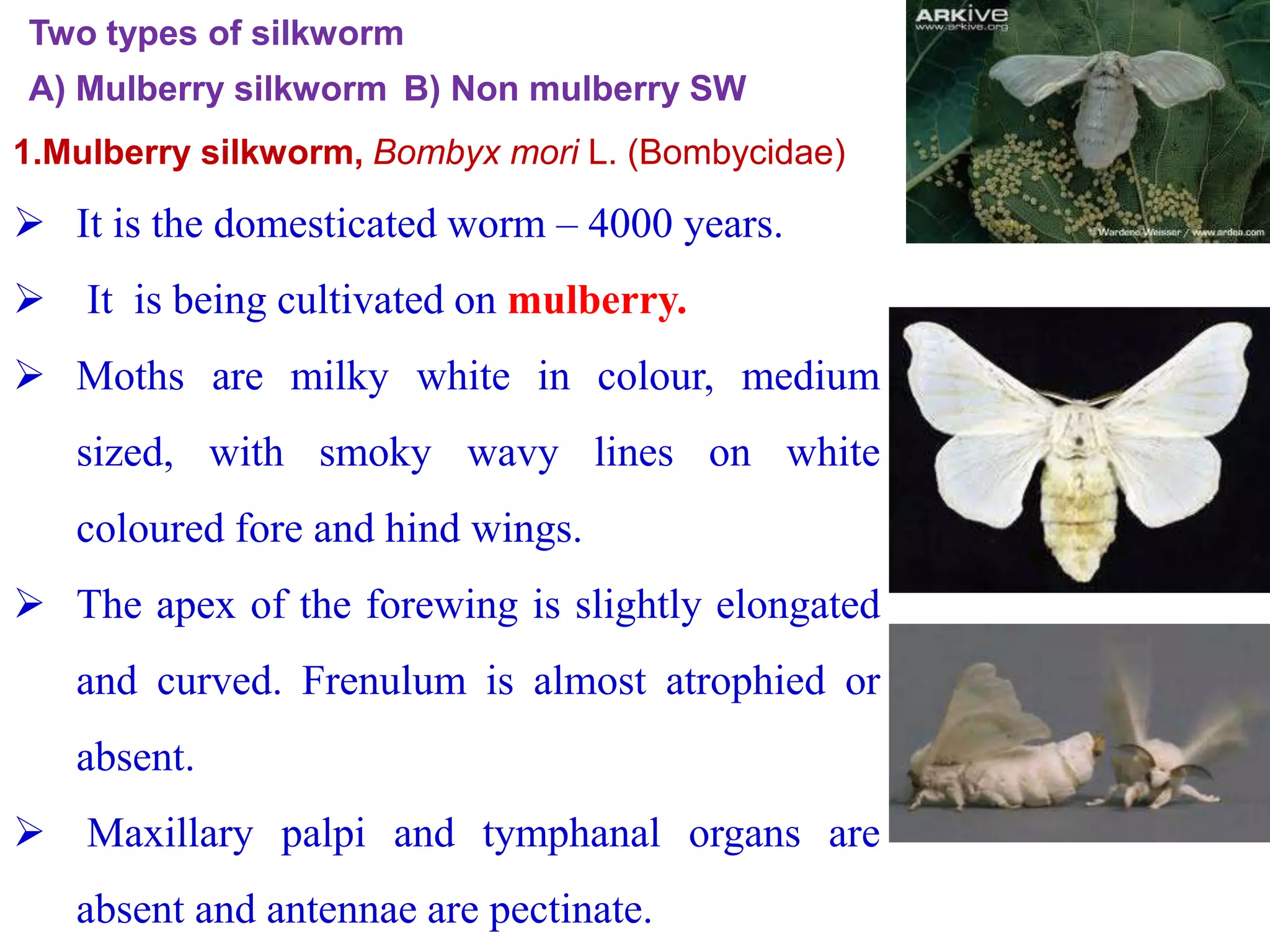 2 chapter types of silk and silkworm sps. | PPTX