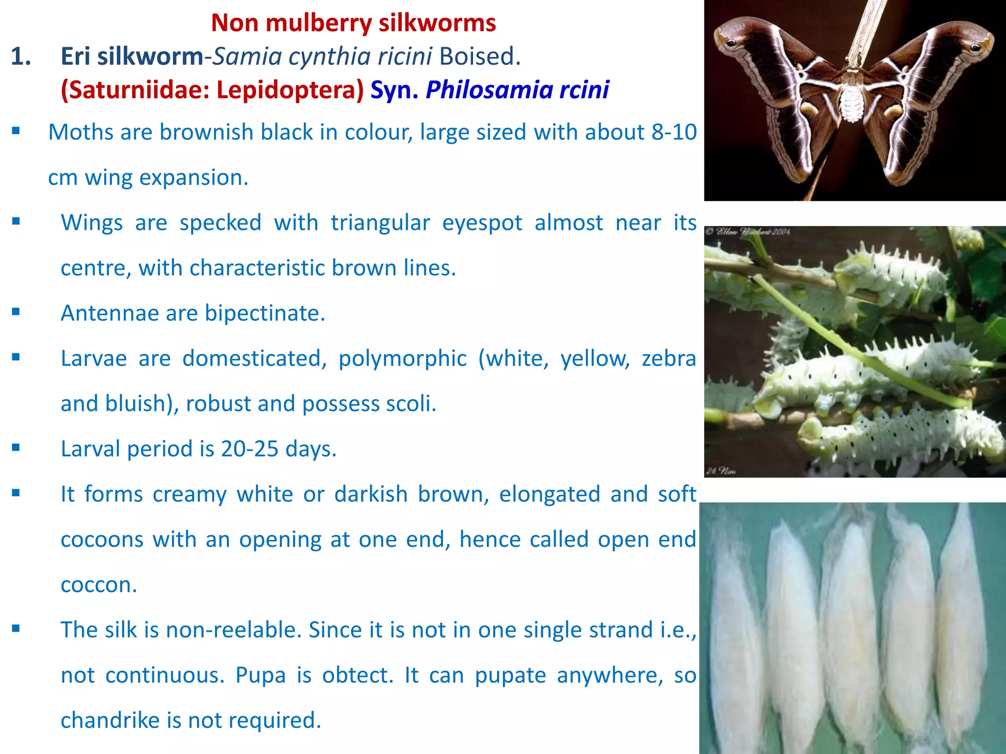 2 chapter types of silk and silkworm sps. | PPTX
