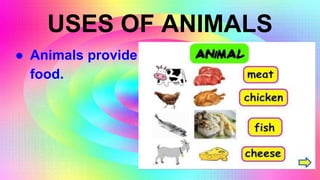 2 - CHARACTERISTICS AND IMPORTANCE OF LIVING THINGS.pptx