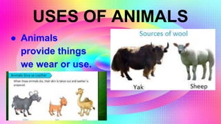 2 - CHARACTERISTICS AND IMPORTANCE OF LIVING THINGS.pptx