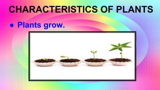 2 - CHARACTERISTICS AND IMPORTANCE OF LIVING THINGS.pptx