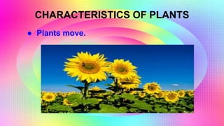 2 - CHARACTERISTICS AND IMPORTANCE OF LIVING THINGS.pptx