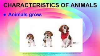 2 - CHARACTERISTICS AND IMPORTANCE OF LIVING THINGS.pptx