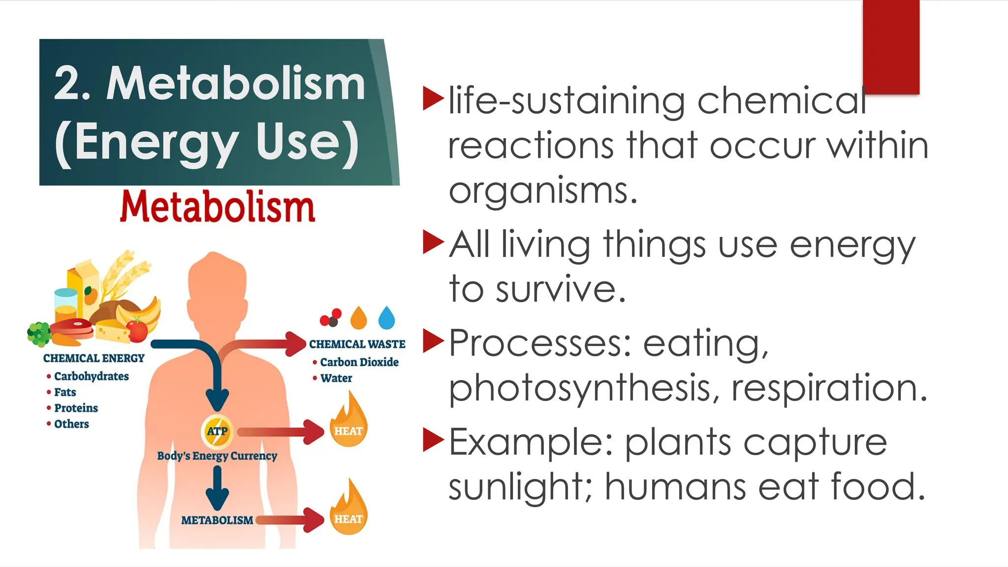 2-Different Characteristics for Life on Earth.pptx
