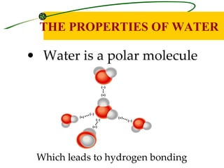 2. chemical basis of life | PPT