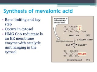 2- Cholesterol Metabolism __.ppt