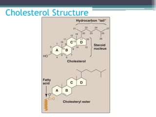 2- Cholesterol Metabolism __.ppt