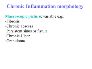 2- chronic inflammlation1-2 pathology.ppt