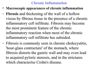 2- chronic inflammlation1-2 pathology.ppt