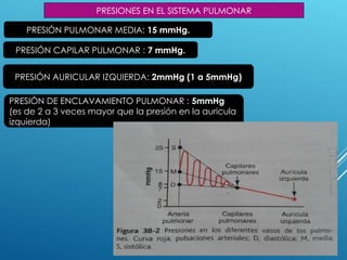 2 - Fisiología de Circulación pulmonar.ppt