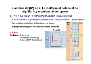 02- Manejo renal del Sodio | PDF