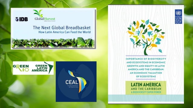 2 - Climate Action-Maria Beatriz Bley-Costa.pdf