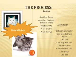 Cognitive Development Theory - Piaget | PPTX