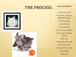 Cognitive Development Theory - Piaget | PPTX