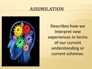 Cognitive Development Theory - Piaget | PPTX