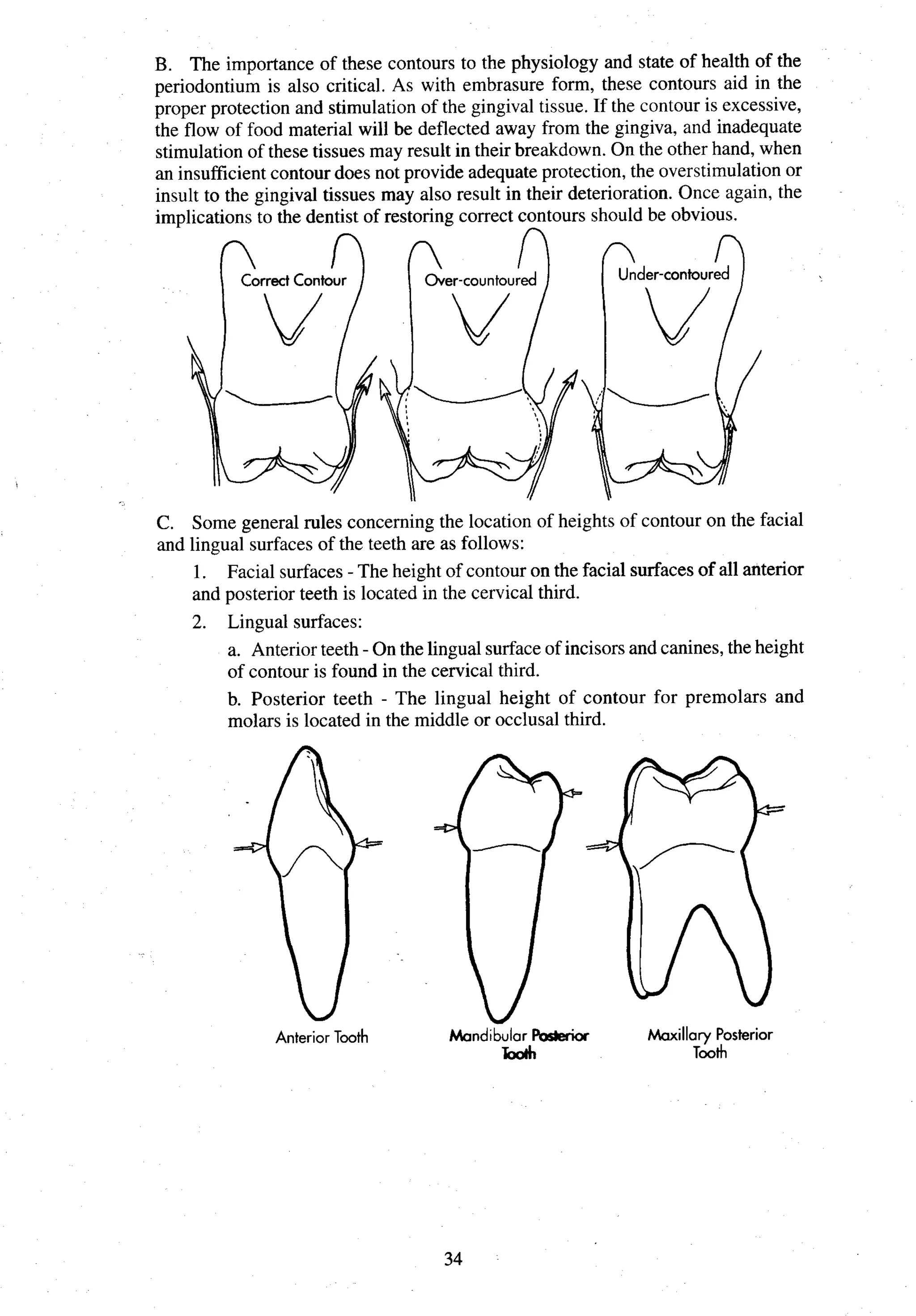 2-concise_dental_anatomy_and_morphology.by dr bassam.pdf