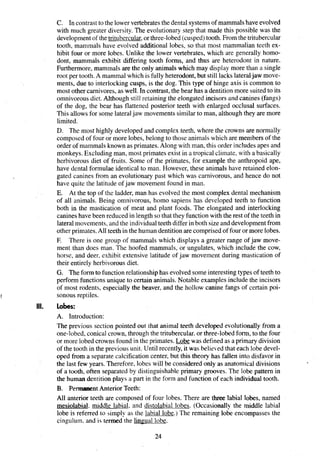 2-concise_dental_anatomy_and_morphology.by dr bassam.pdf