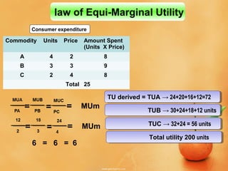 2 consumer behaviour (Utility ) | PPT
