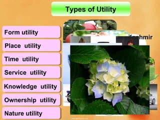 2 consumer behaviour (Utility ) | PPT