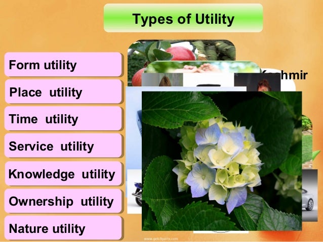 2 consumer behaviour (Utility )