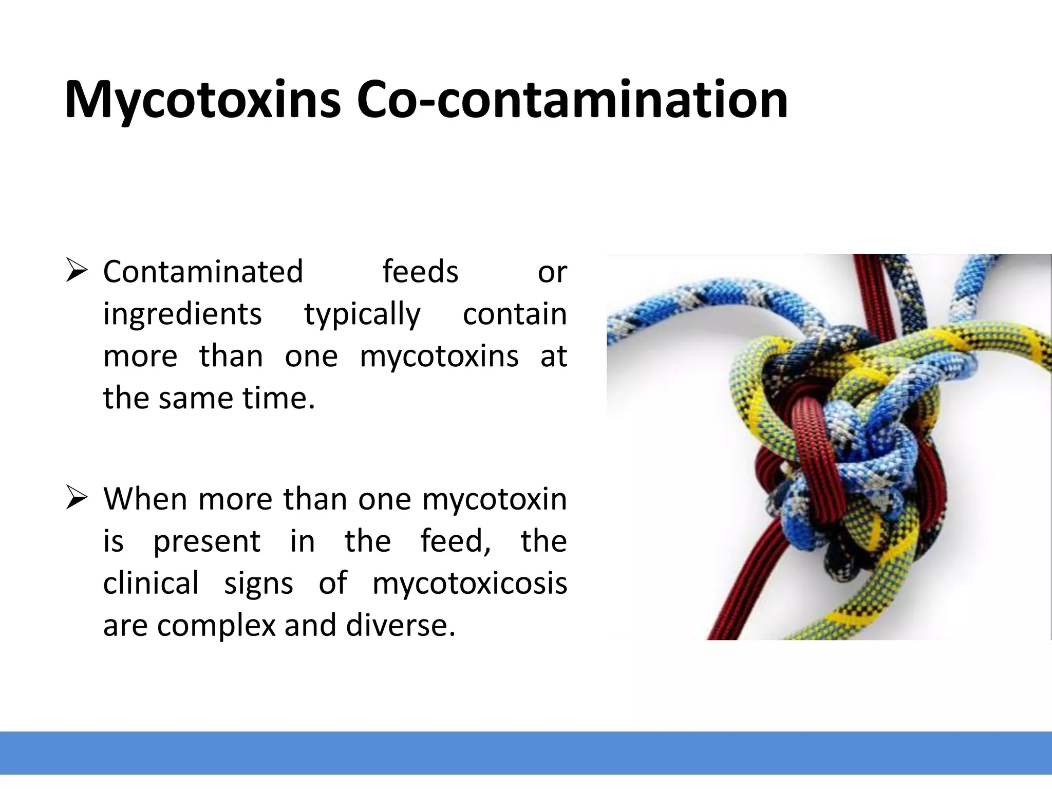 Control Of Mycotoxins In Poultry | PPTX