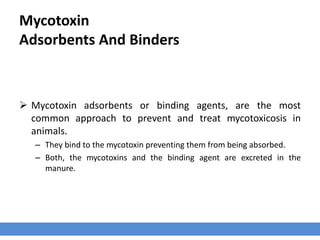 Control Of Mycotoxins In Poultry | PPTX