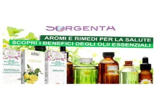 Sorgenta: Shop online | PPT